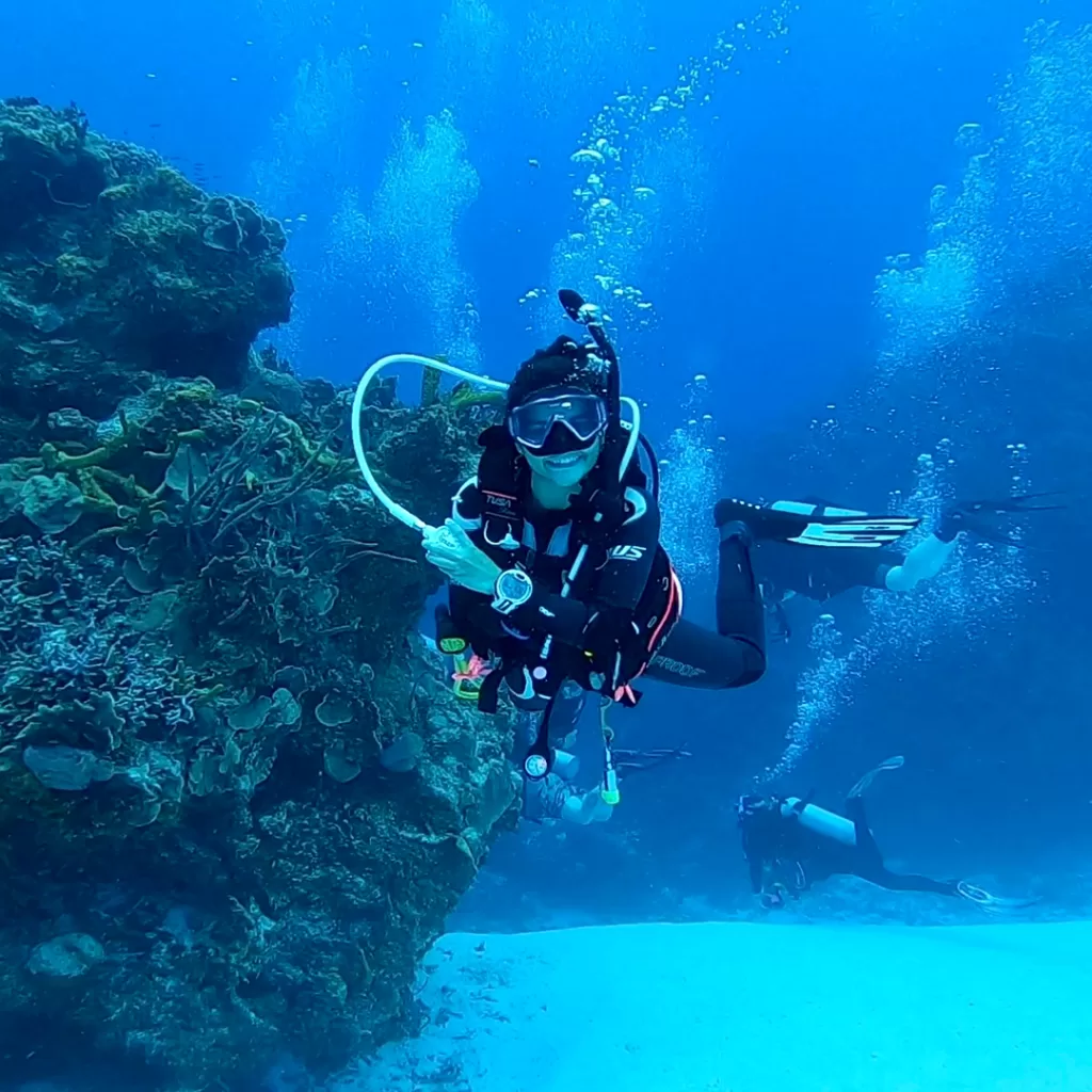 Cursos - mantasdivers.com