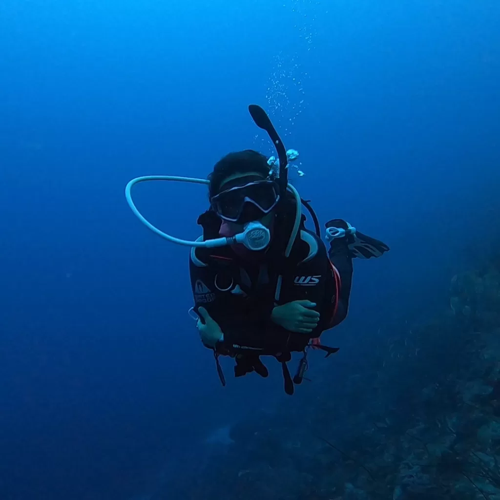 Cursos - mantasdivers.com