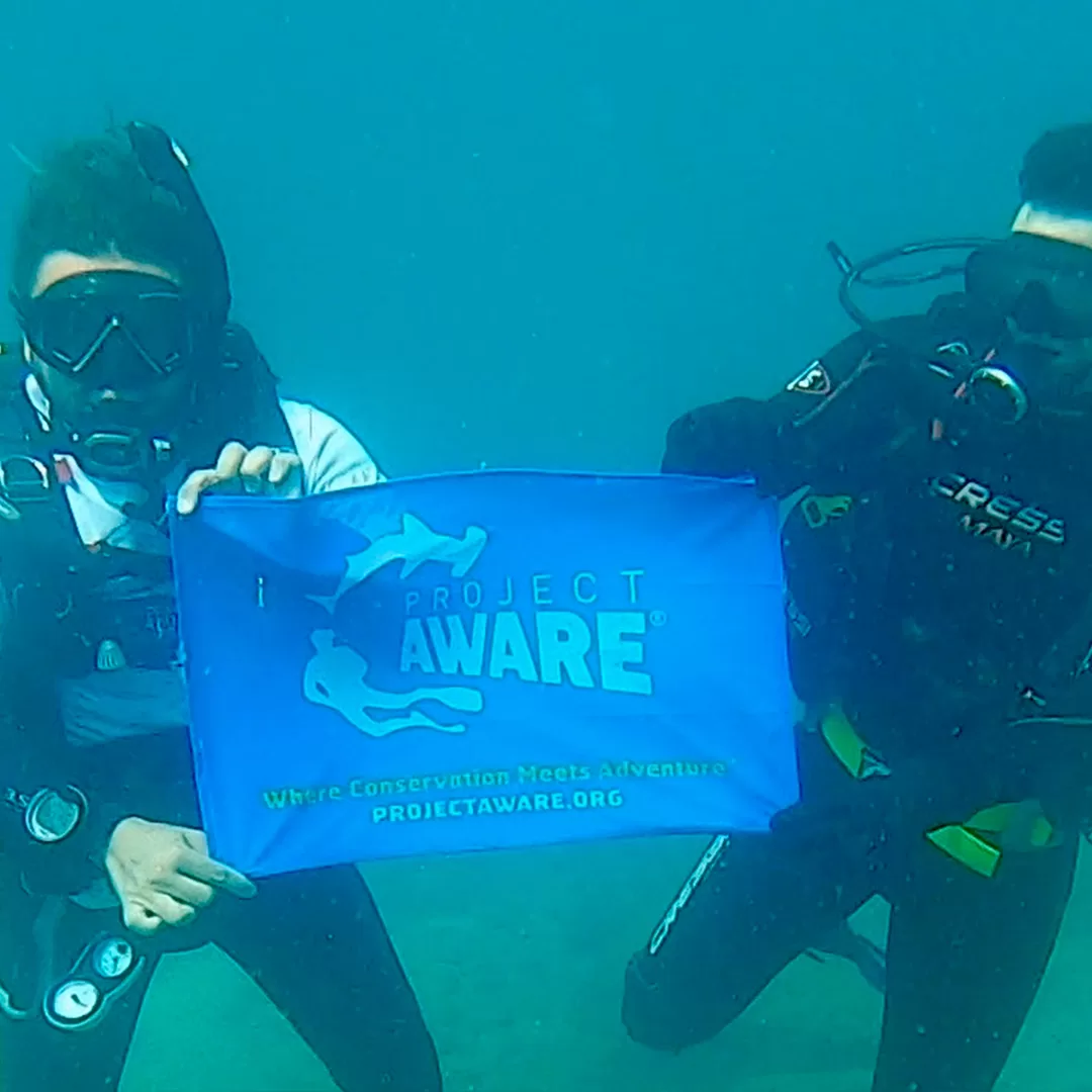 Project aware specialist - mantasdivers.com